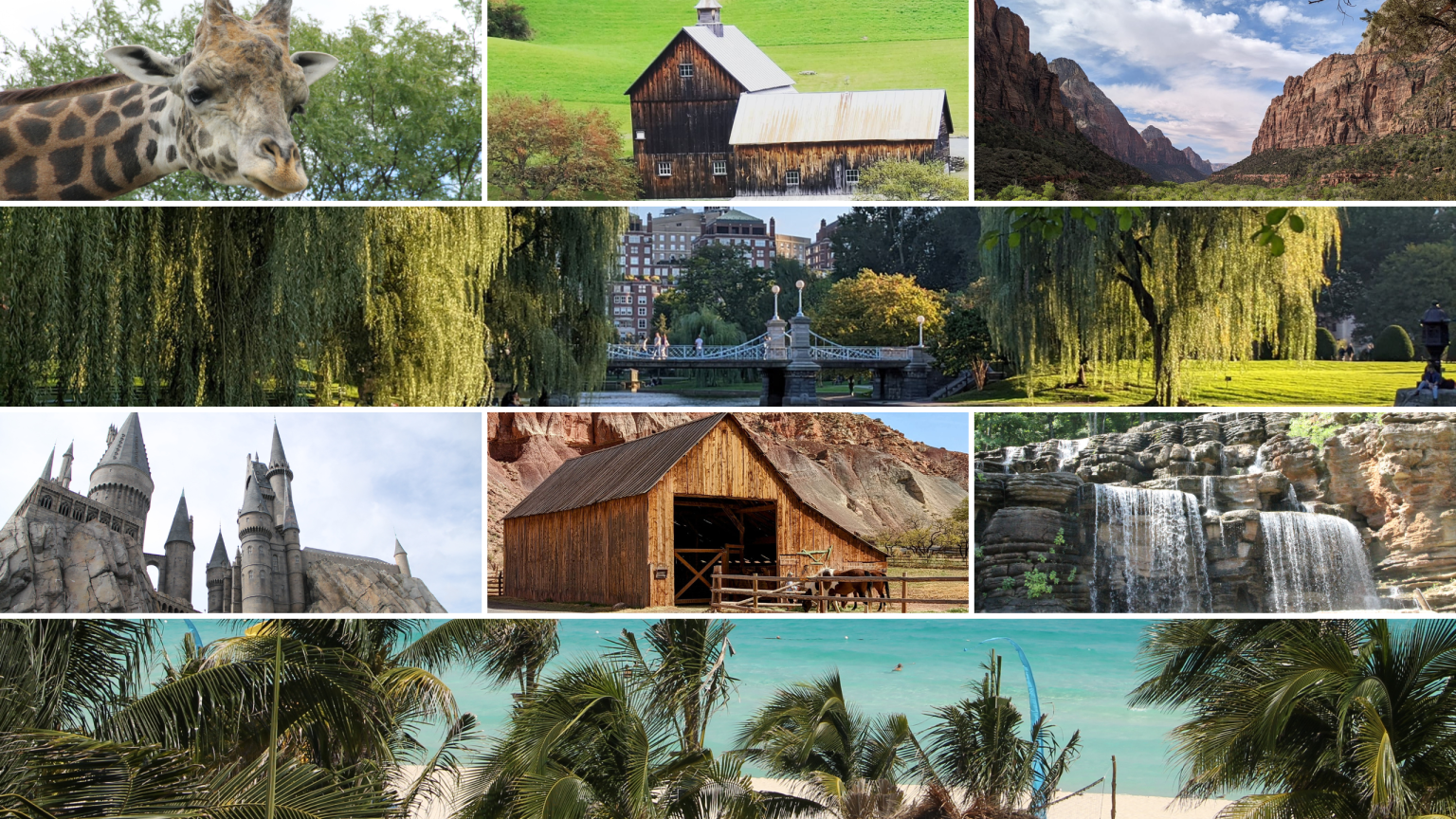 How to Plan Your Vacation in 6 steps | Everywhere They Roam
