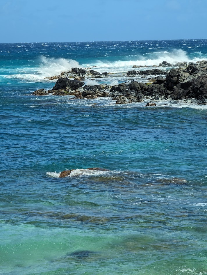 Hookipa Beach Park Water | Everywhere They Roam