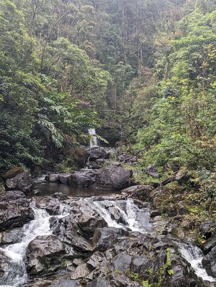 Road to Hana Little | Everywhere They Roam